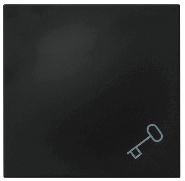 Elko Plus vippe med nøkkelsymbol Sort | Nordic LED